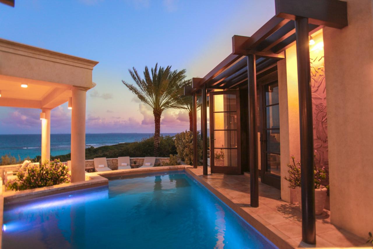 Bird of Paradise | Villa Luxe